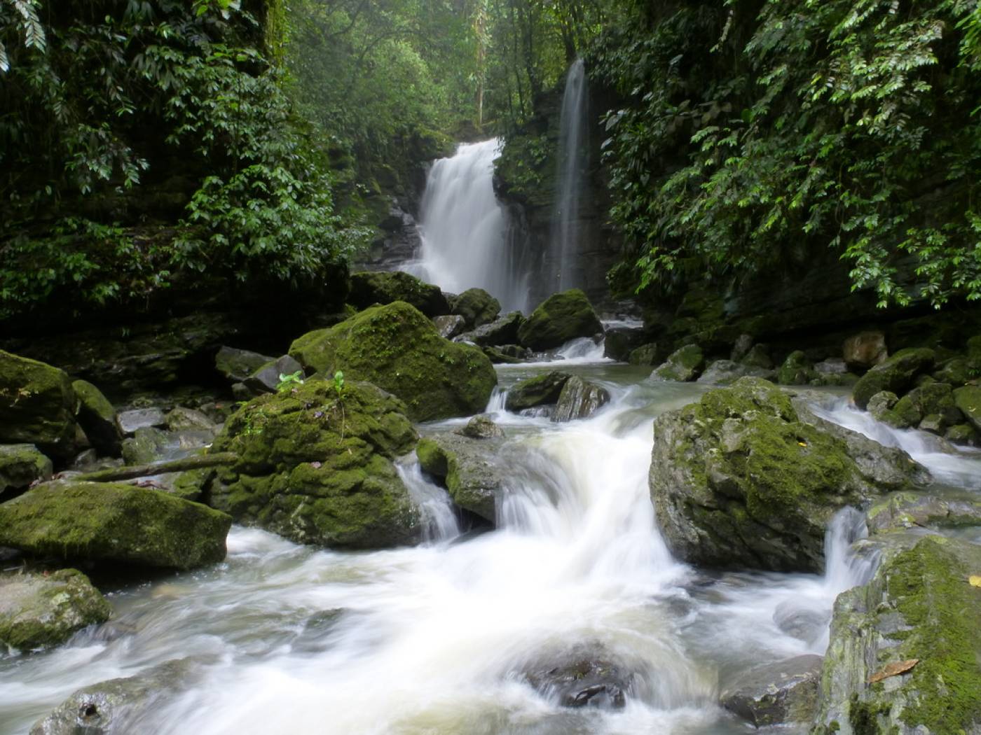 Andes y Amazonia - Viajes Víaverde